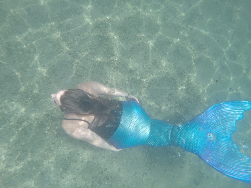 DreamyMermaid.com | Central Florida Aquaholic